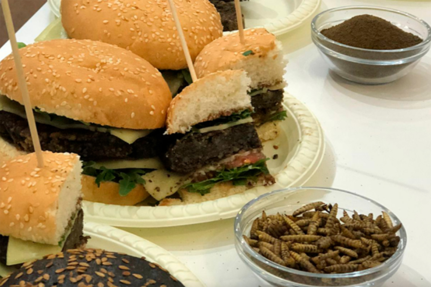 Russian Federation supports alternative meat at InnoFood Forum ...