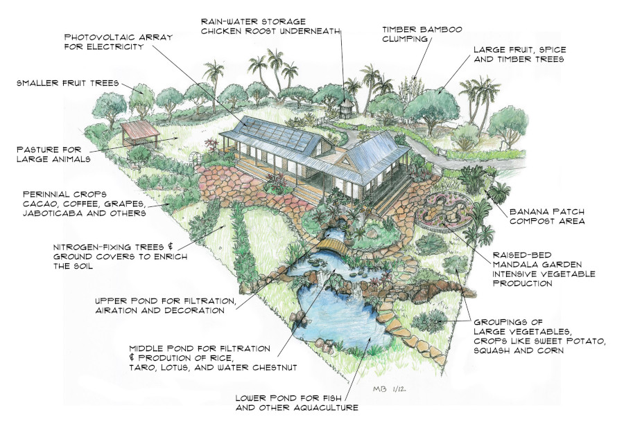 Blueprints for your efficient homestead