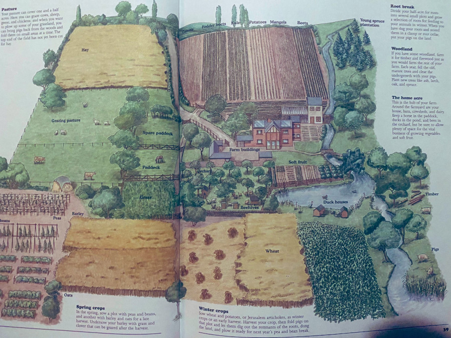 Blueprints for your efficient homestead