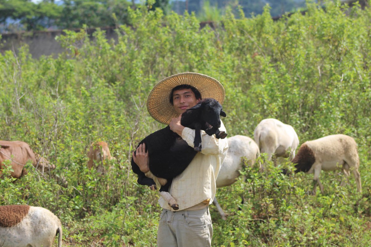 Venezuelan farmer asks for help expanding goat and sheep farm