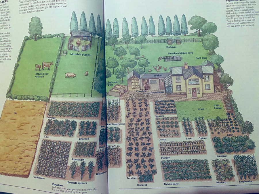 Blueprints for your efficient homestead