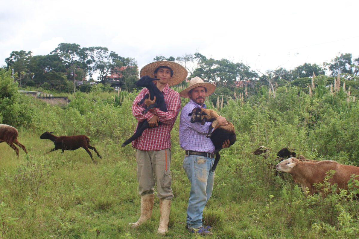 Venezuelan farmer asks for help expanding goat and sheep farm ...