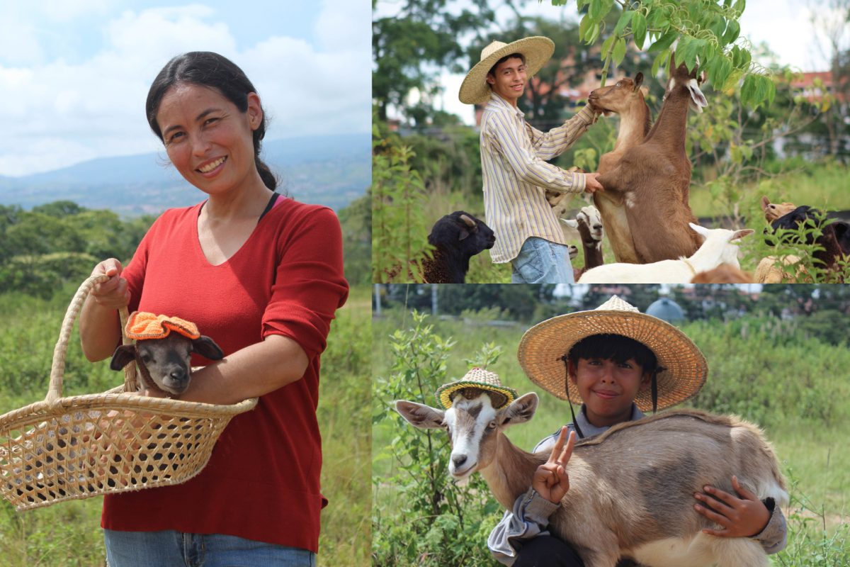 Venezuelan farmer asks for help expanding goat and sheep farm